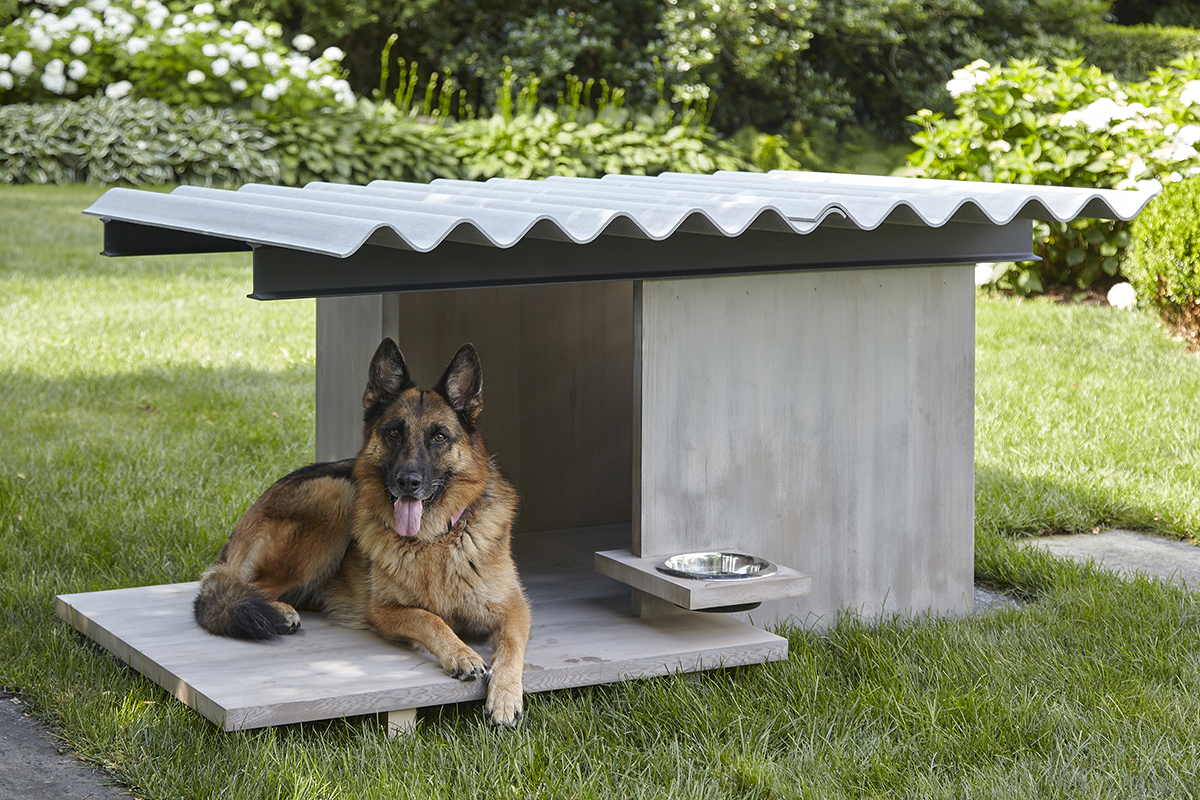 Bow Wow Haus, Animal Rescue Fund, NY - Robert Young Architects